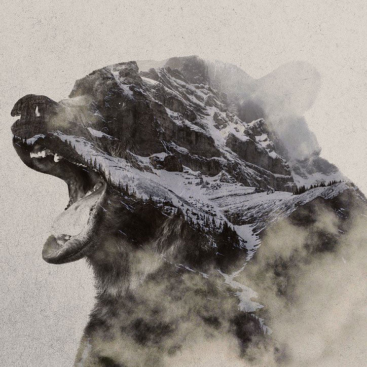 Blurring Natures Lines With Andreas Lie – Tache Trade